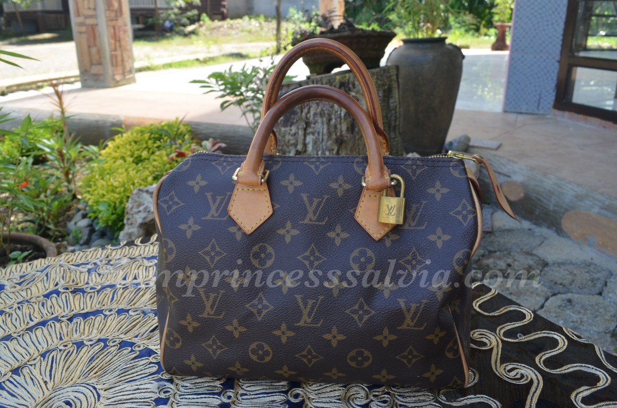 Audrey – I am Princess Salvia